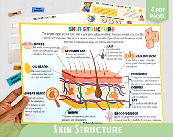 Parts of the Body Labelling Activity Human Anatomy Education Organs ...