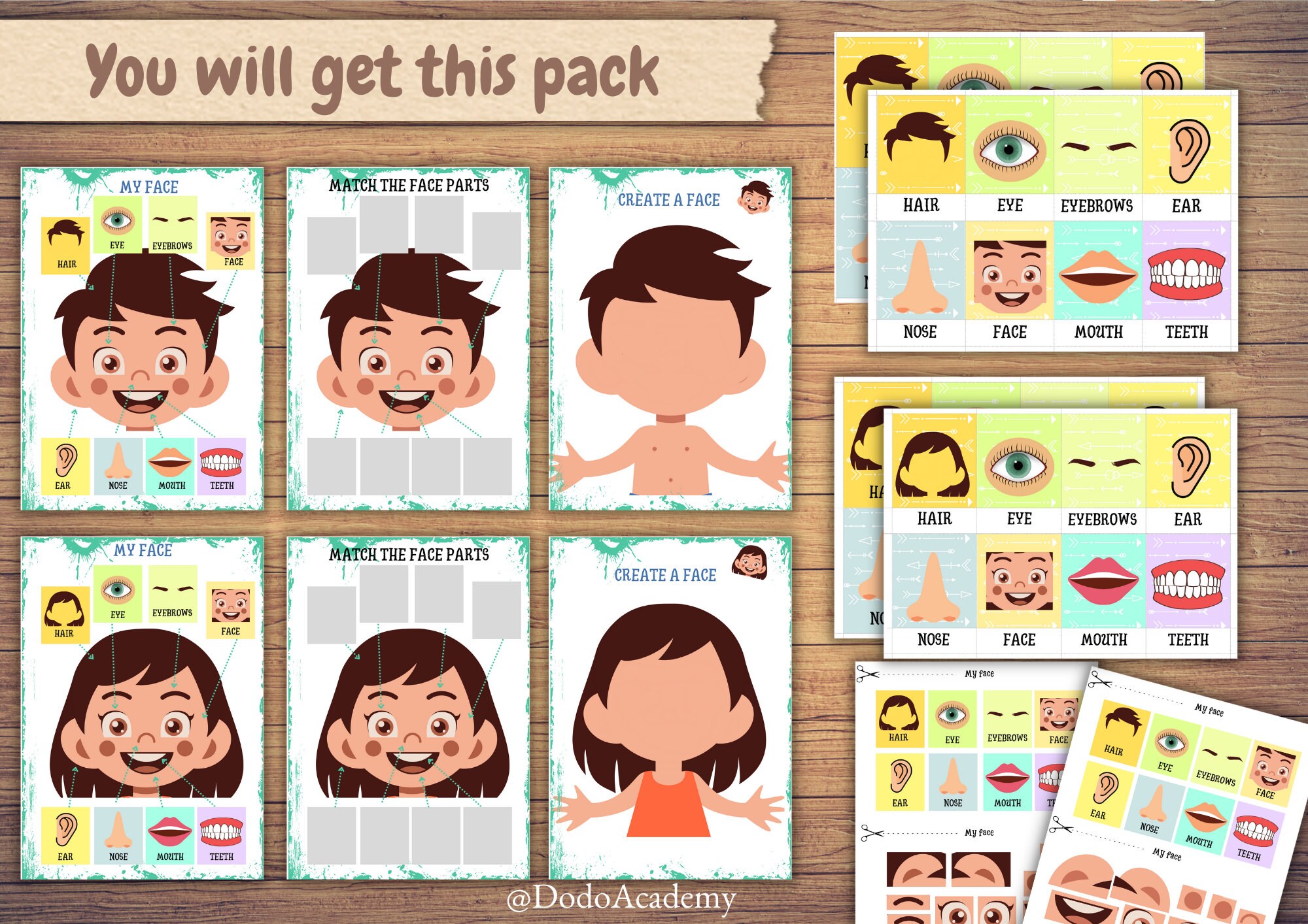 Face Parts Learning Activity Flashcards Human Anatomy Preschool ...