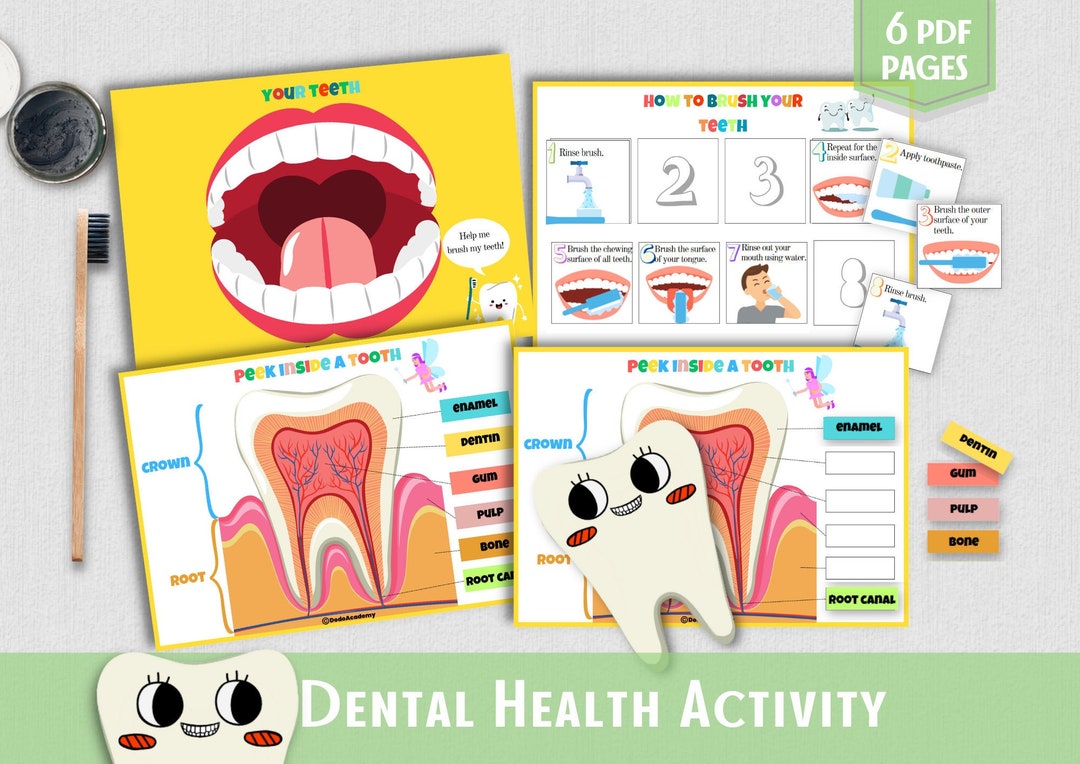 Dental Health Activity Human Anatomy Printable Preschool Toddler ...