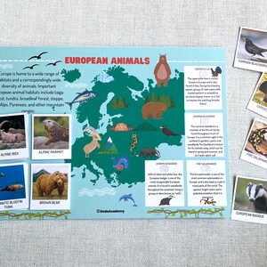 Europe Continents & Oceans Printable Activity Pack World Geography ...