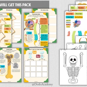Human Skeleton Busy Book, Skeletal System Anatomy Pack, Printable ...