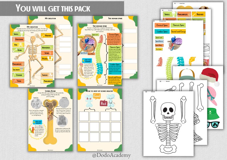 Human Skeleton Busy Book, Skeletal System Anatomy Pack, Printable ...