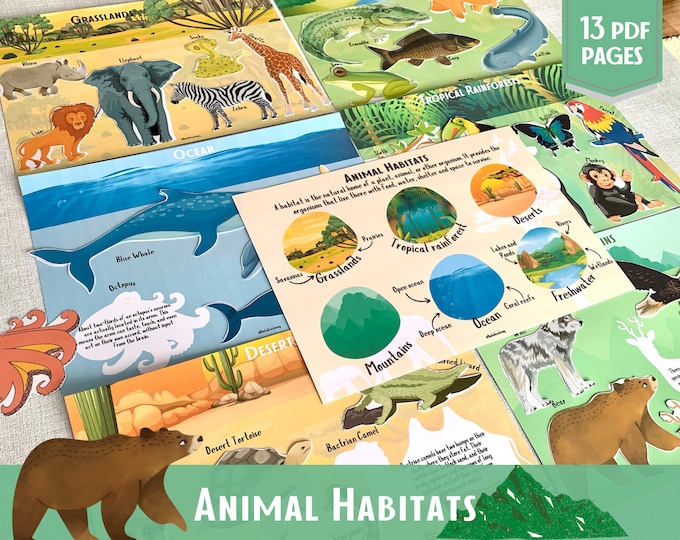 Animal Matching, Learning Animals, Printable Animal Activity, Animal ...