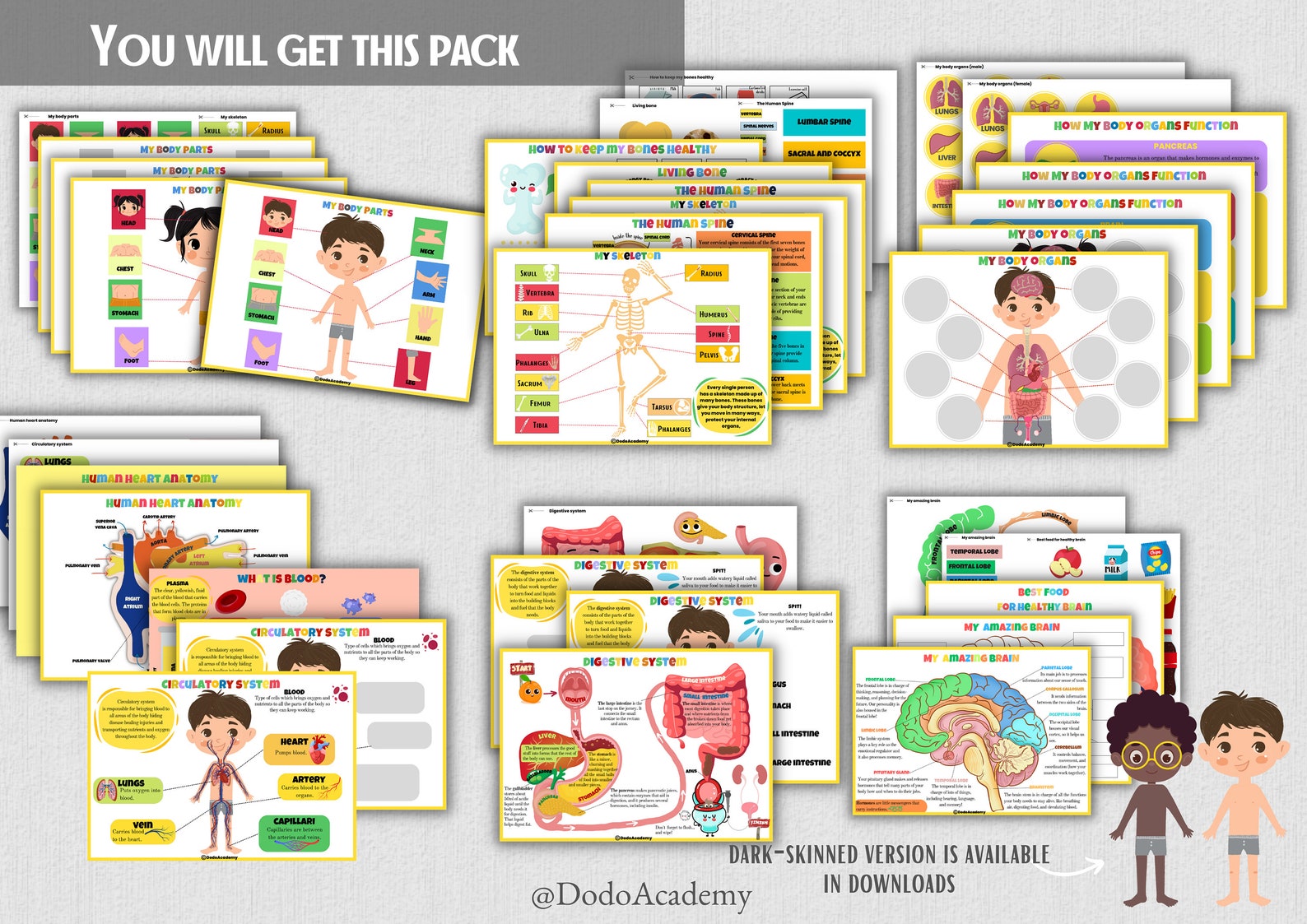 Human Anatomy Busy Book Body Parts Printable Montessori Material ...