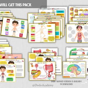 Human Anatomy Busy Book Body Parts Printable Montessori Material ...