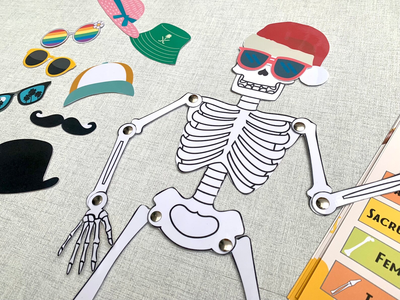 Human Skeleton Busy Book, Skeletal System Anatomy Pack, Printable ...