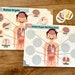 Human Organs Learning Activity With Flashcards and Body Facts ...