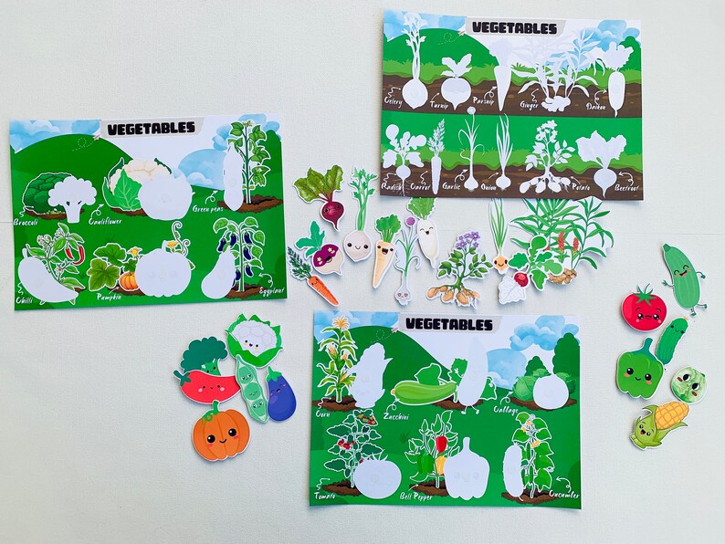 Vegetables Sorting Worksheet Fruits and Vegetable Shadow Matching ...