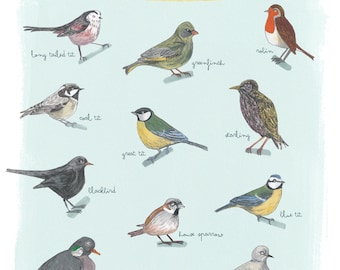 British Garden Birds Identification Chart Wildlife Poster A5 A4 A3 A2 ...