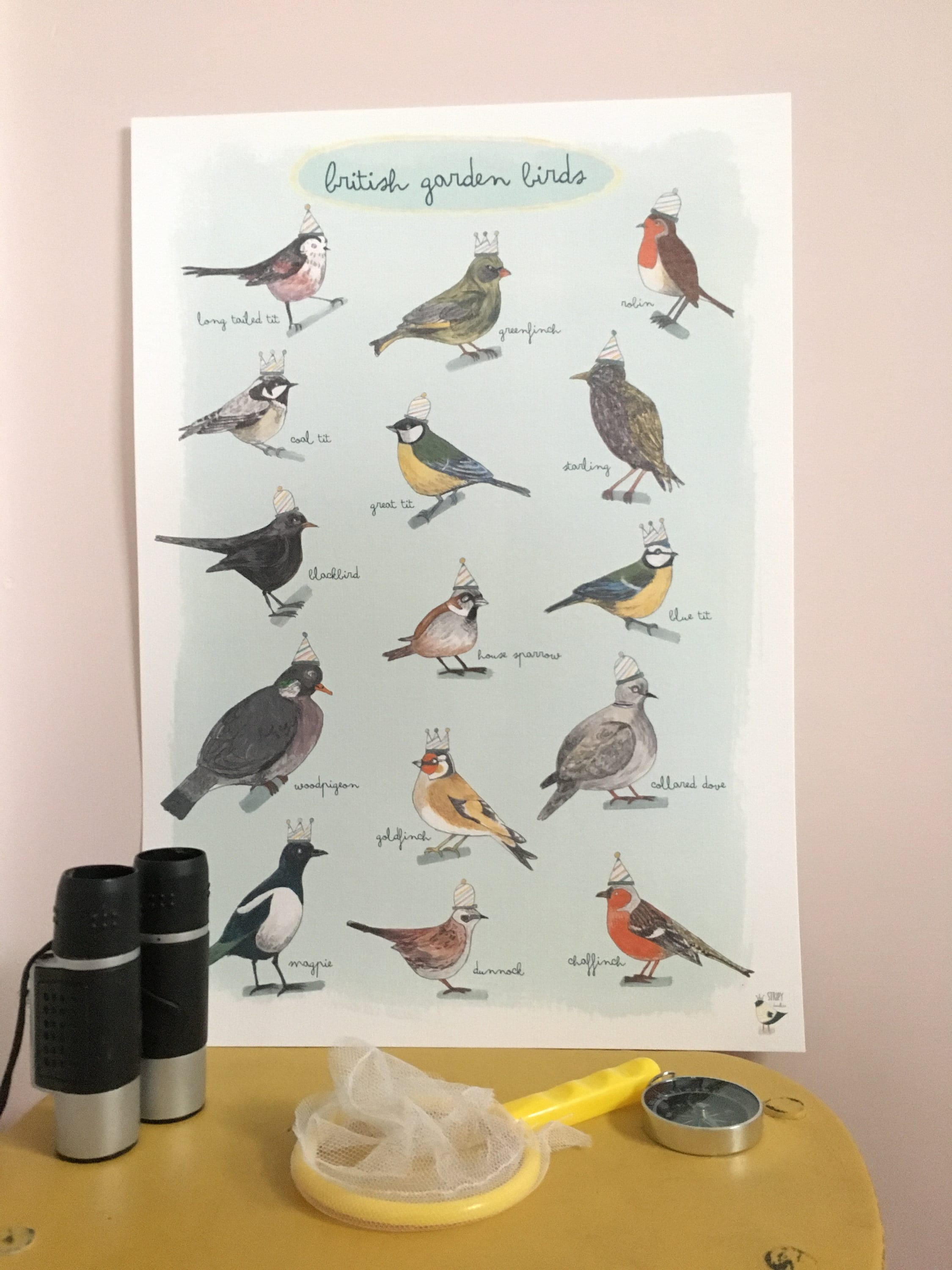 British Garden Birds Identification Poster and Checklist - Etsy UK
