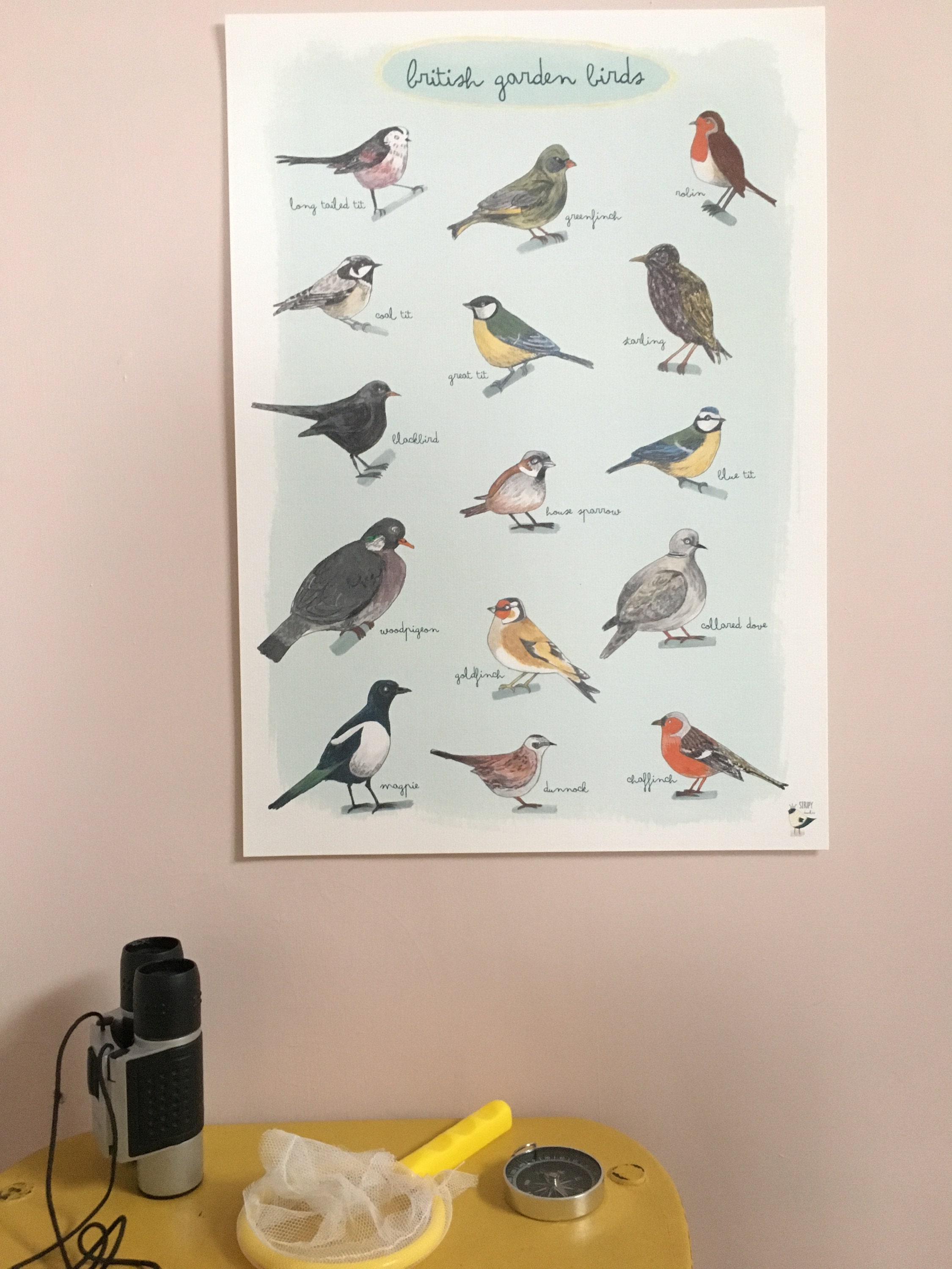British Garden Birds Identification Poster and Checklist - Etsy UK