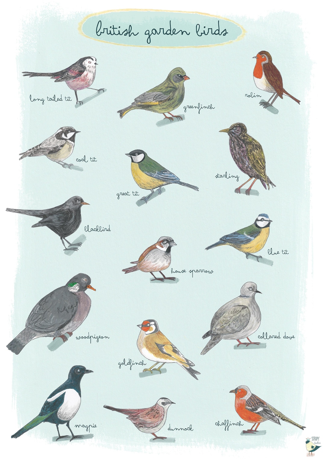 British Garden Birds Identification Poster and Checklist - Etsy UK
