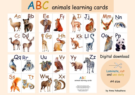 Animal Alphabet Flash Cards ABC Animal Activity Cards - Etsy