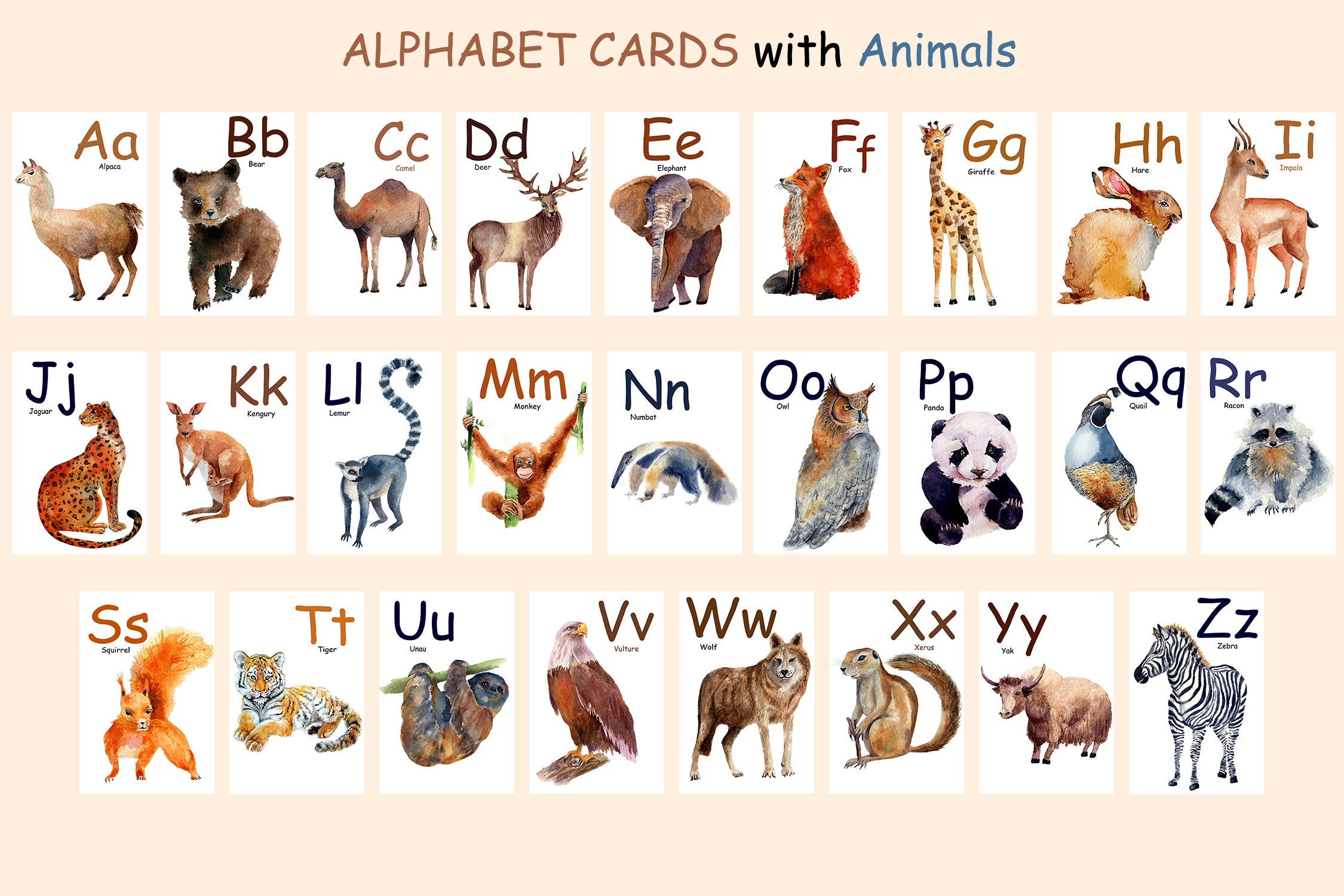 Animal Alphabet Flash Cards, ABC Animal Activity Cards, Homeschool or ...