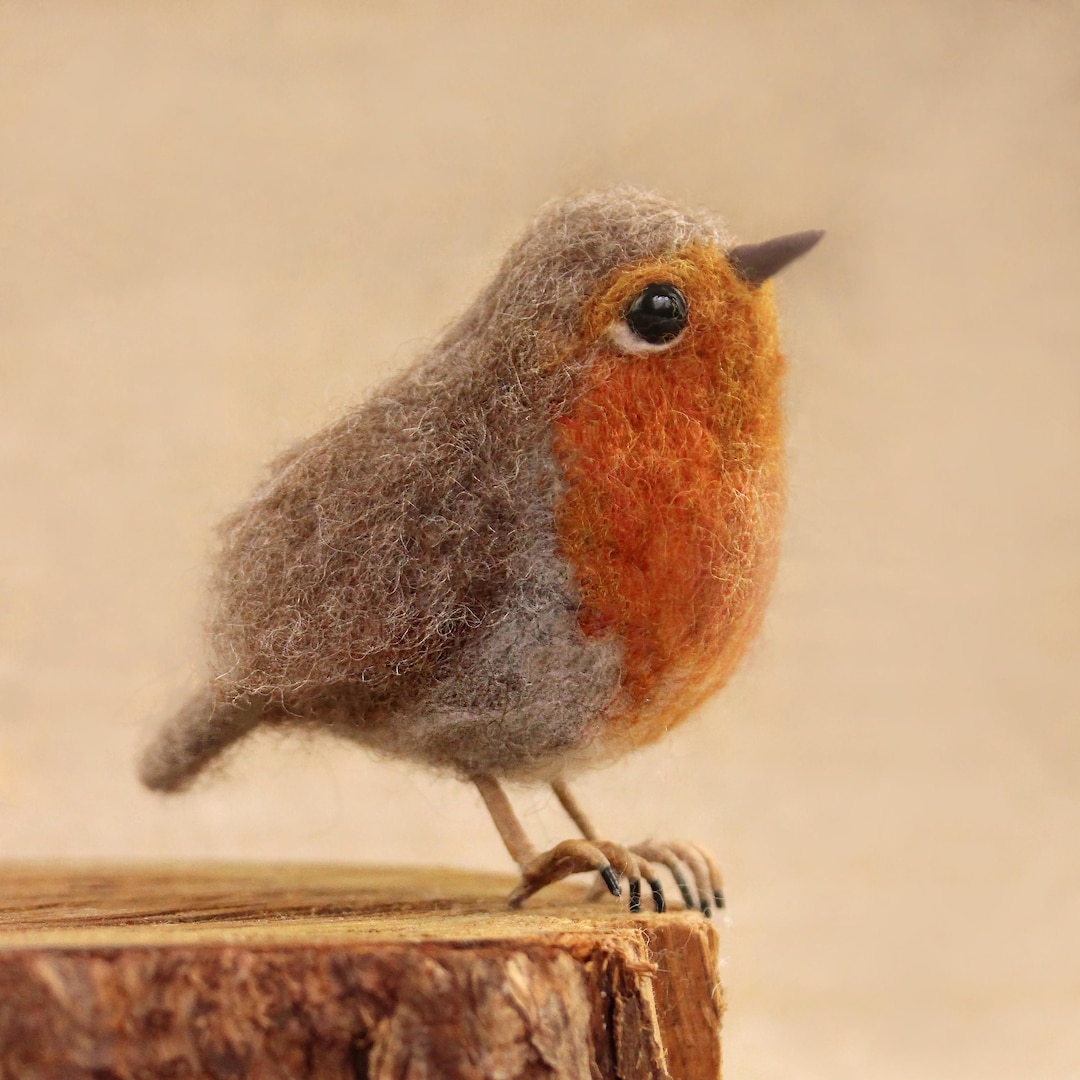 Robin Needle Felting Kit for Beginners - Create an Adorable Bird Figure ...