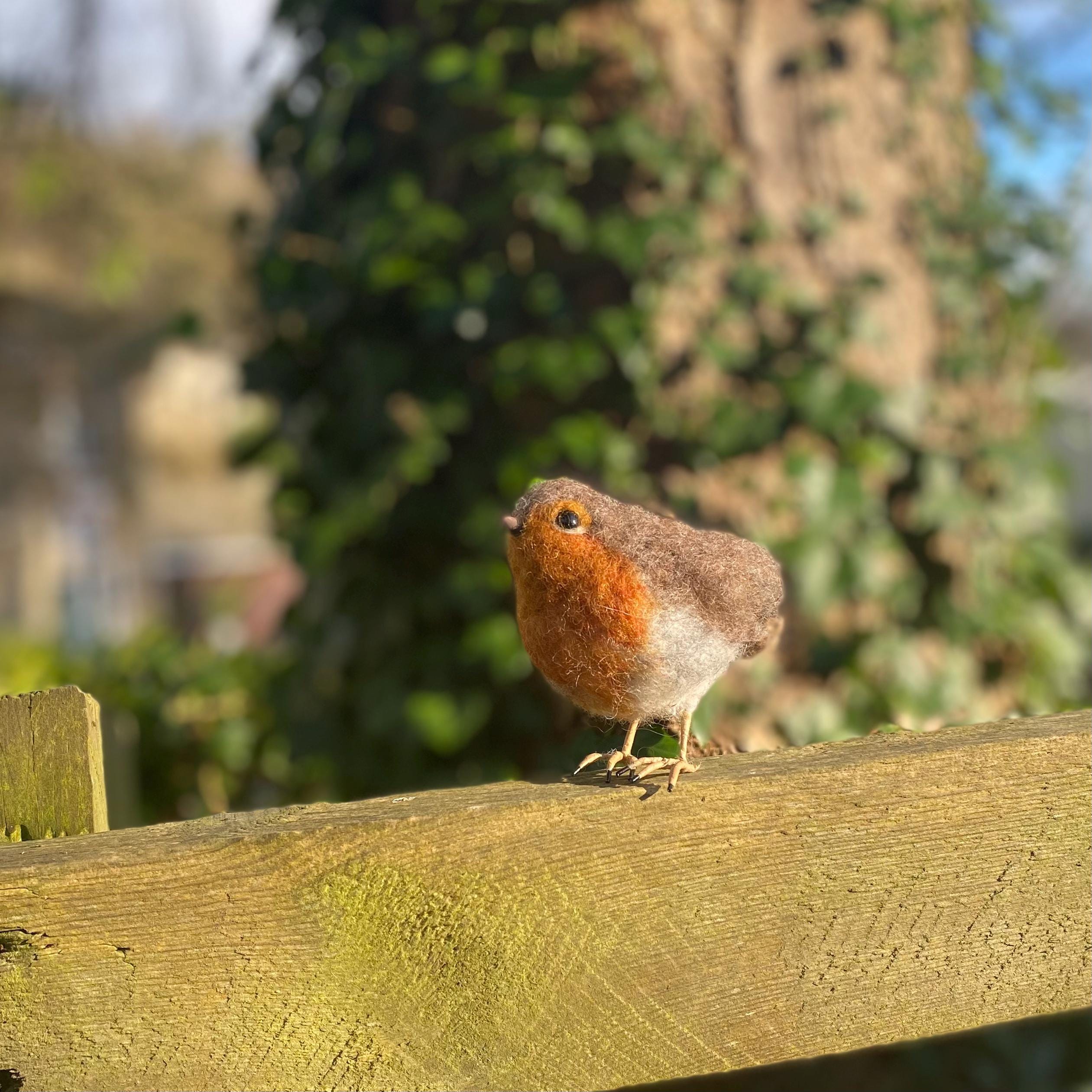 Robin Needle Felting Kit for Beginners - Create an Adorable Bird Figure ...