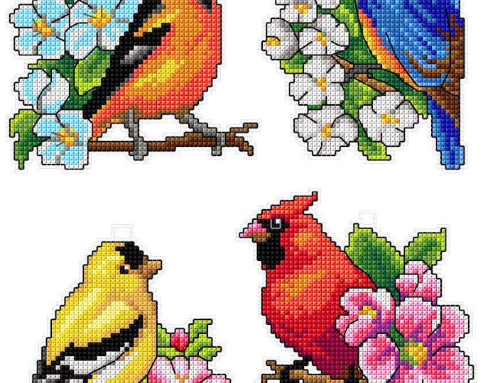 Spring Birds. Cardinal Plastic Canvas Cross Stitch Kit. 4 - Etsy