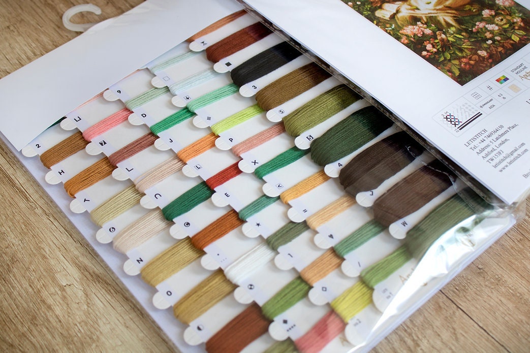 Into Dreamland Fantasy Girl With Books Cross-stitch Kit on - Etsy