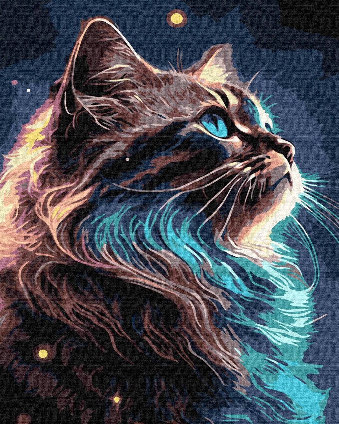 The Magic of Space Paint by Numbers Kit. Animal Painting. USA Shipping ...