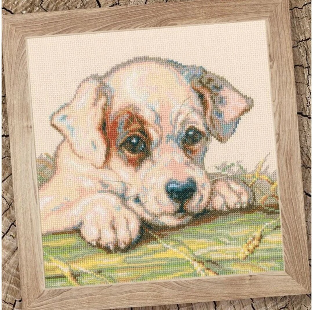 Bulldog Cross-stitch Kit on Aida 14 Count Canvas. Cute Puppy - Animal ...