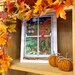 Conker Window - Counted Cross-stitch Kit on Aida 16 Count Canvas ...
