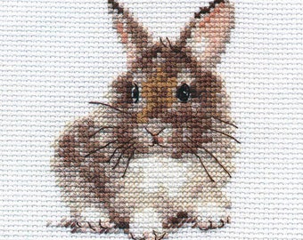 Rabbit Cross Stitch - Etsy