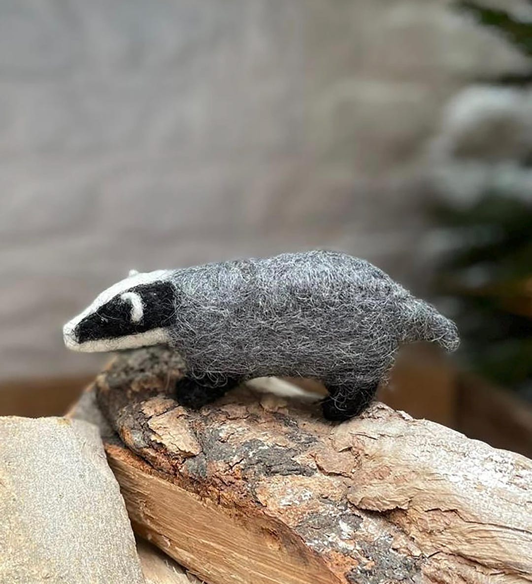 Badger Needle Felting Kit for Beginners - Create an Adorable Animal ...