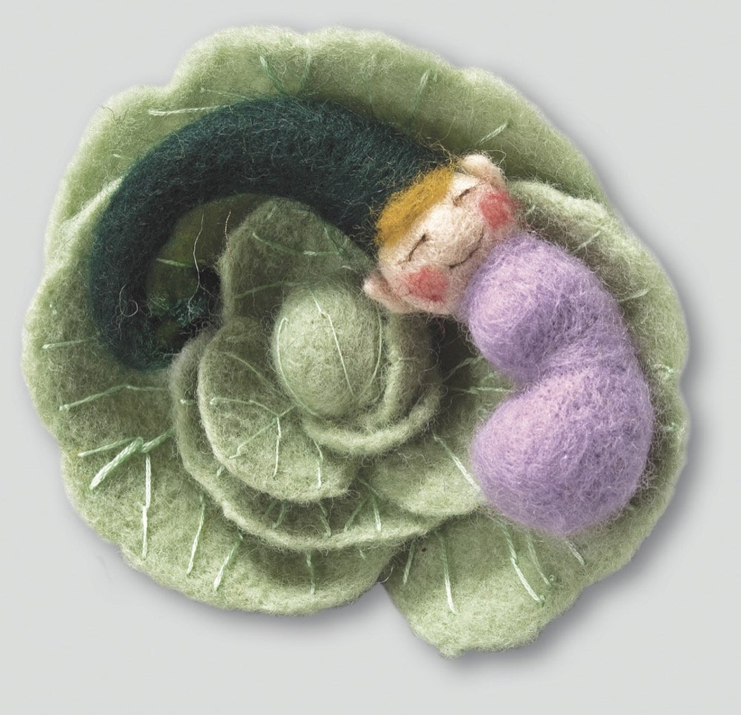 Beginning of Life Felting Kit. Needle Felting Kit. Toy Kit for ...