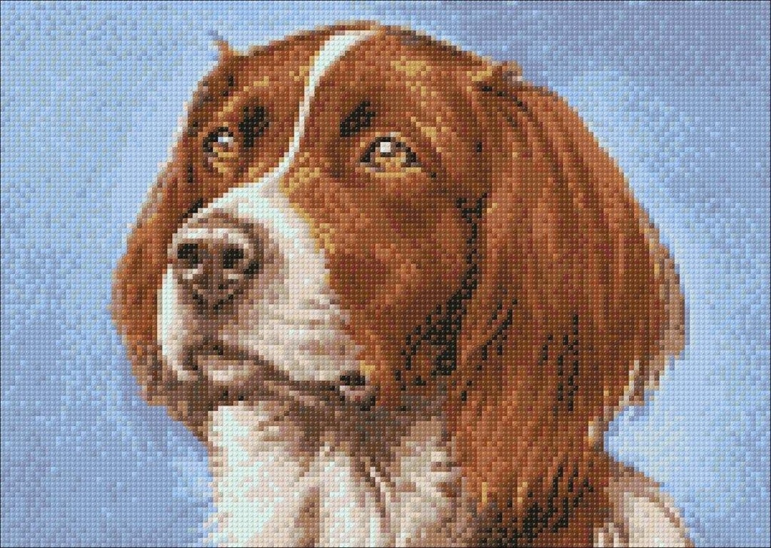 Dog Diamond Painting Set by Wizardi. WD181 Diamond Art Kit. Large ...