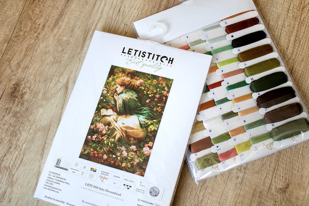 Into Dreamland Fantasy Girl With Books Cross-stitch Kit on - Etsy