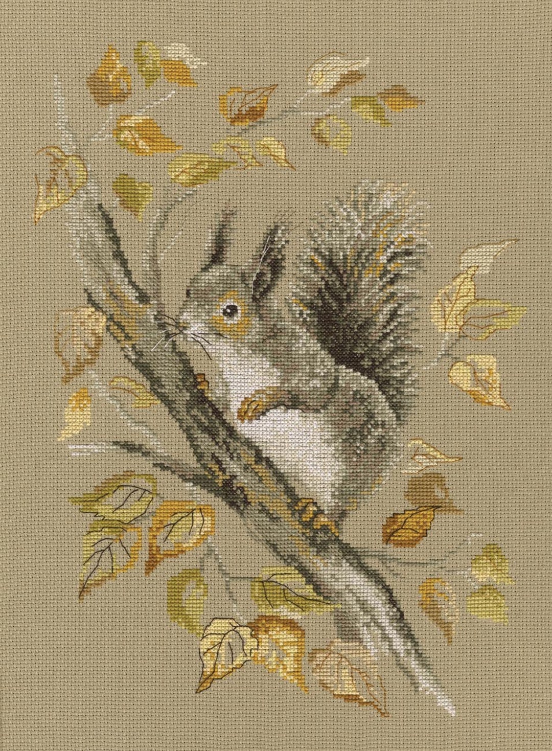 Squirrel Cross-stitch Kit on Aida 14 Count Canvas. Monochrome Little ...