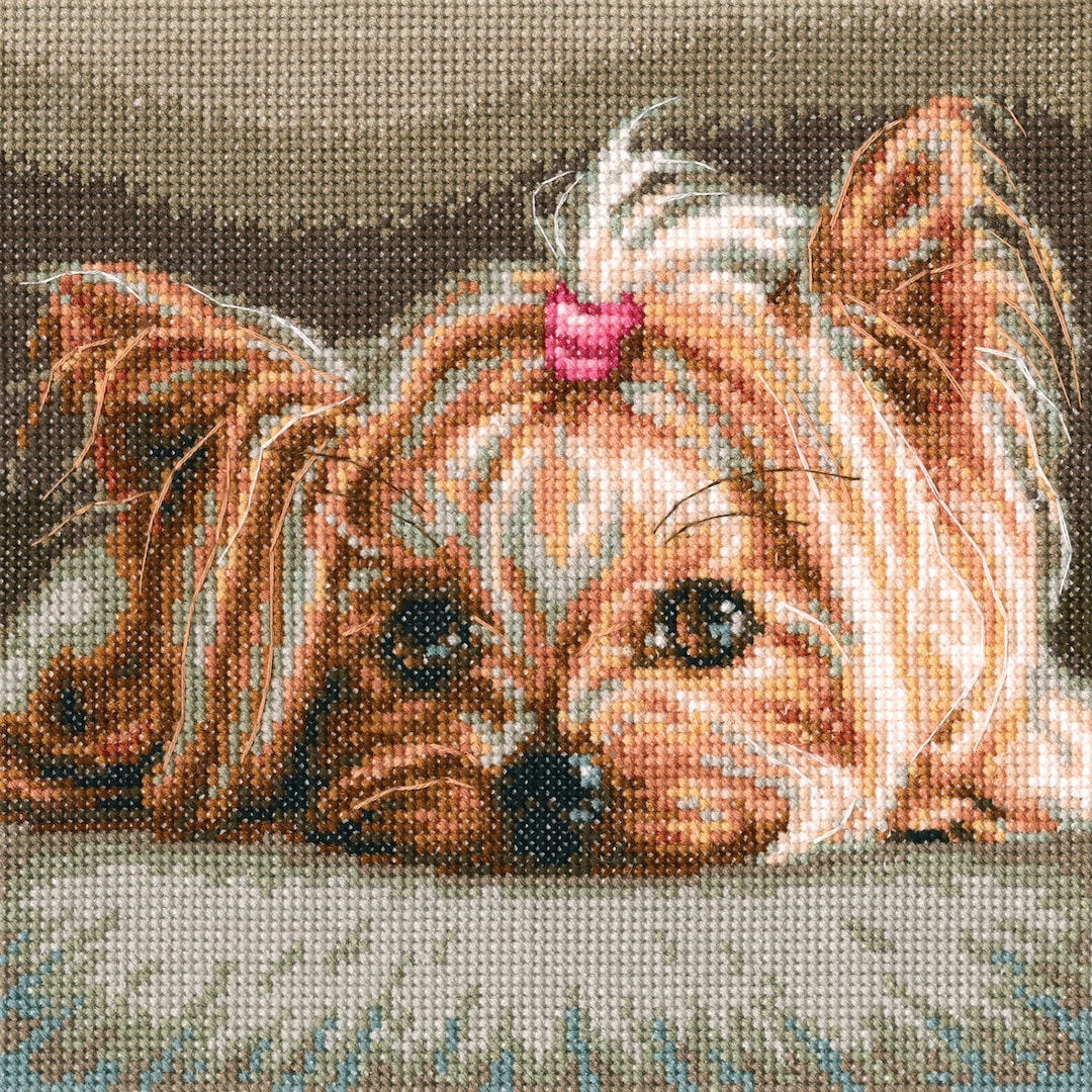 Little Pet Yorkshire Terrier Cross-stitch Kit on Aida 14 Count Canvas ...