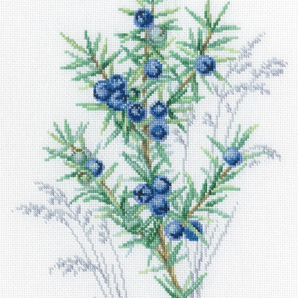 Blueberry Cross Stitch - Etsy