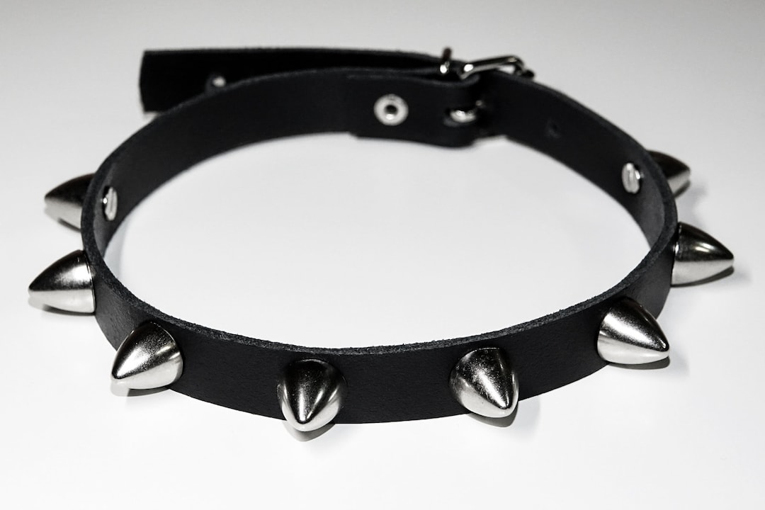 Rivet Collar Bullet Killer Rivets Extreme Spikes Rock Punk BDSM Gothic ...