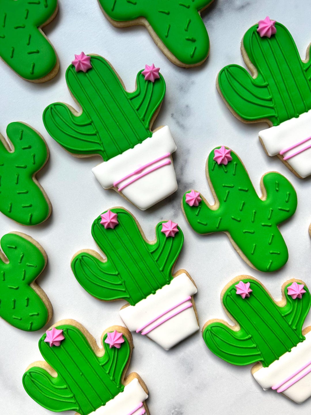Cactus Sugar Cookies - Etsy