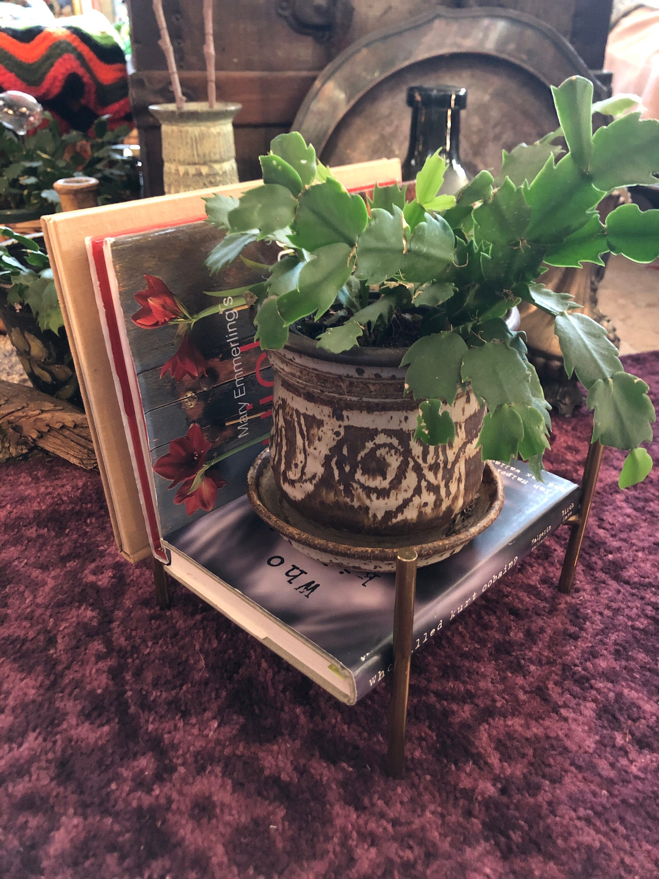 Vintage Mid Century Brass Criss Cross Plant Book Record Stand ...