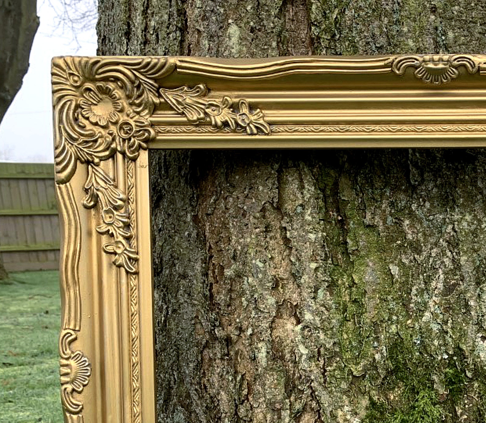 Fine Ornate Gilt Wood & Plaster Rococo Frame - Etsy