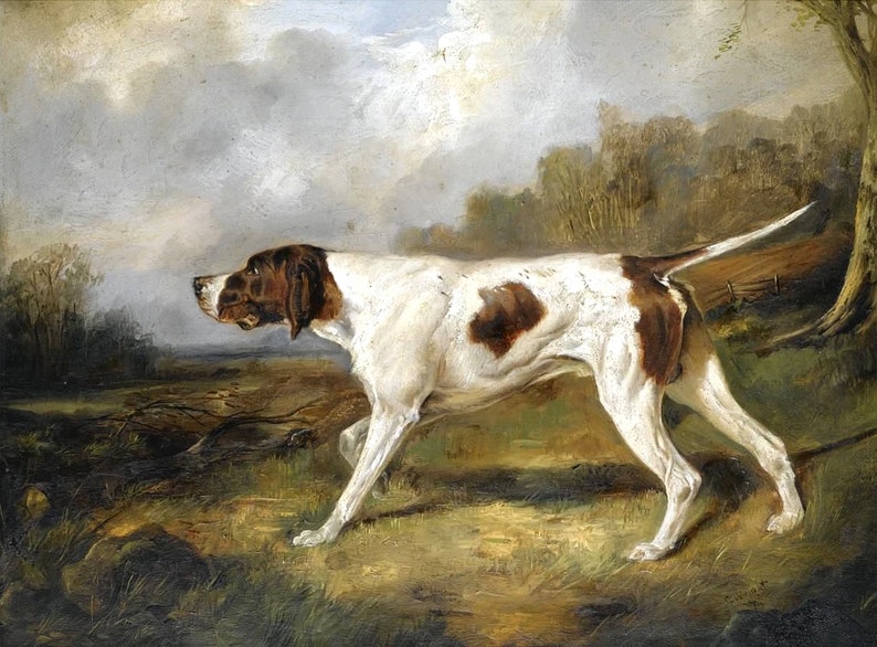 Fine Lithograph on Canvas of an English Pointer on - Etsy