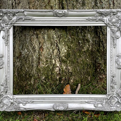 Fine Large Ornate Rococo Antique Silver Gallery Frame - Etsy