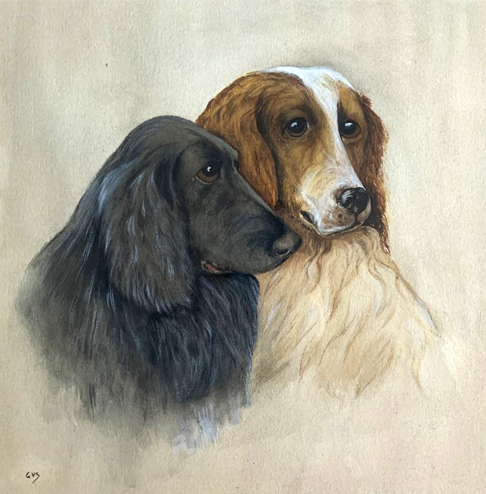 Fine Early C20th Watercolour Portrait of a Pair of Spaniels - Etsy