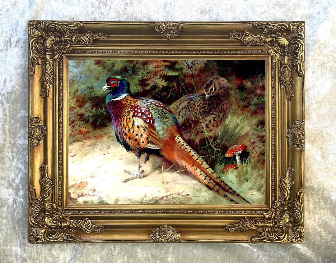 Pheasants in a Copse - Fine Oil Painting Print on Canvas After Thorburn ...