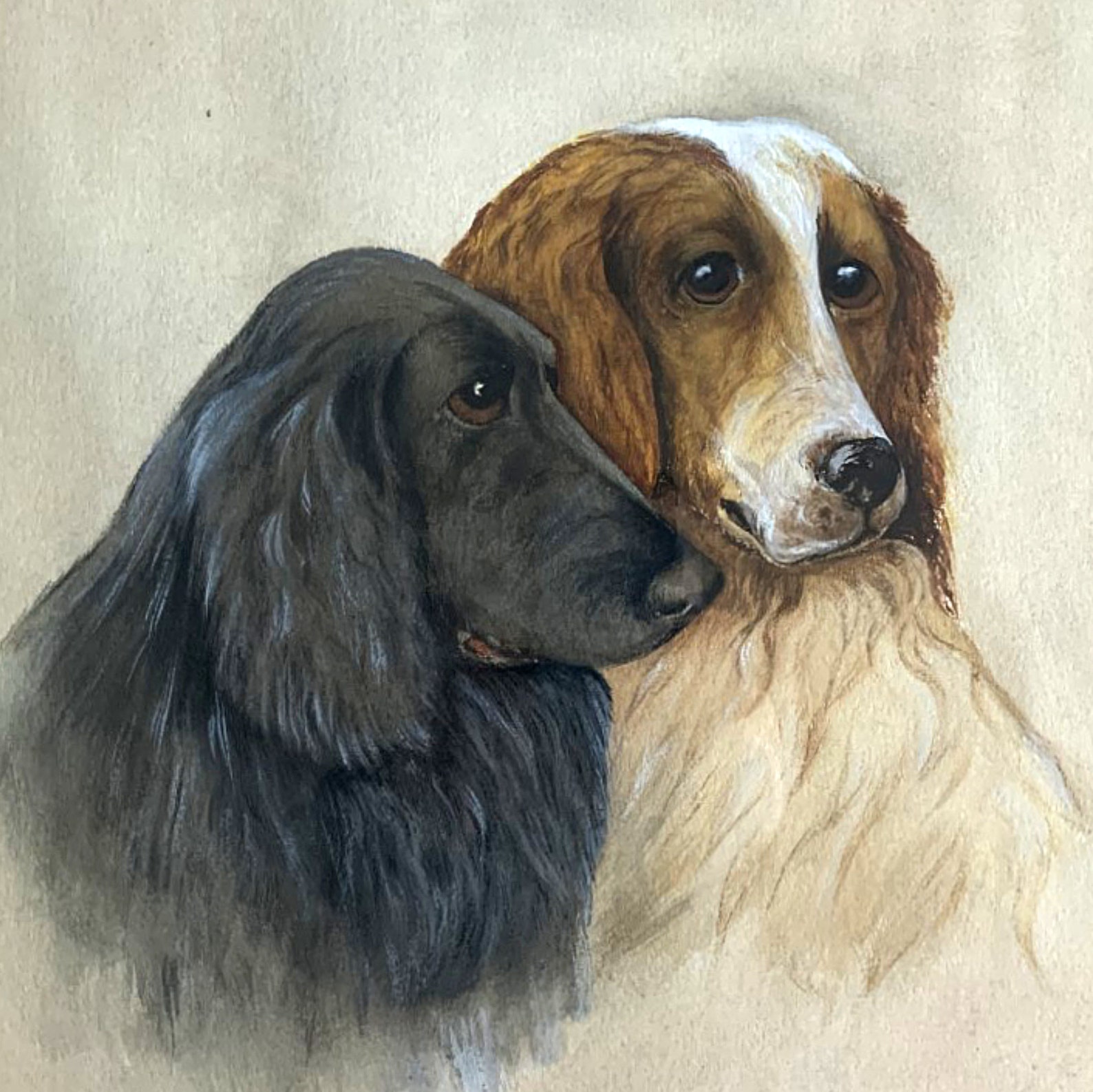 Fine Early C20th Watercolour Portrait of a Pair of Spaniels - George ...