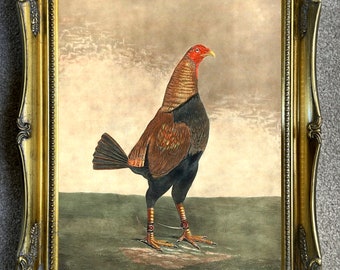 Fine Lithograph on Canvas of an English Pointer on | Etsy