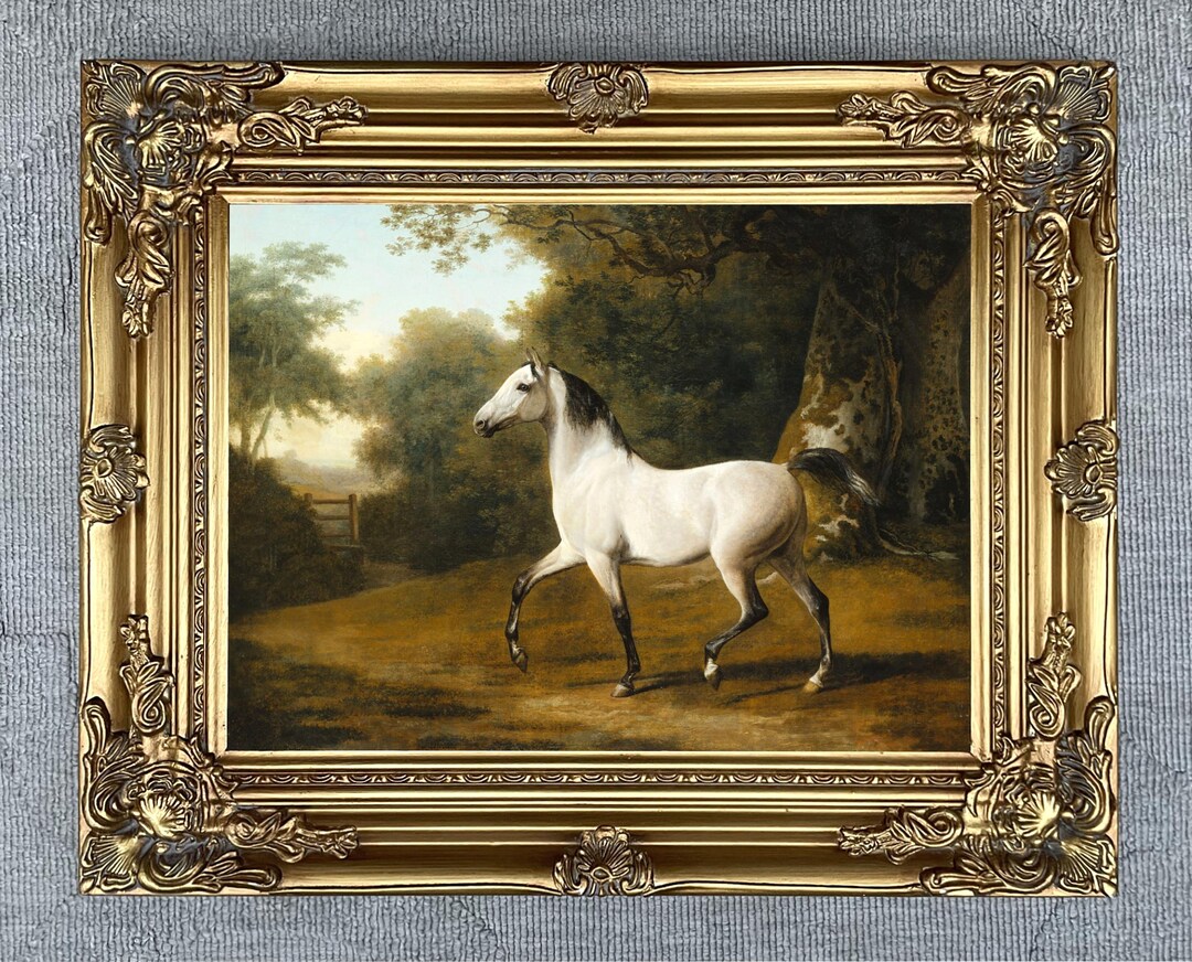 Fine Lithograph on Canvas - A Grey Arab Stallion in a Wooded Landscape ...