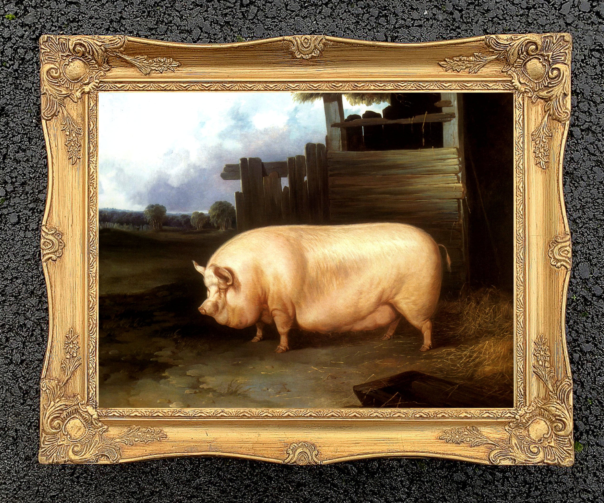 Fine Lithograph on Canvas of a Prize Pig in a Yard | Etsy