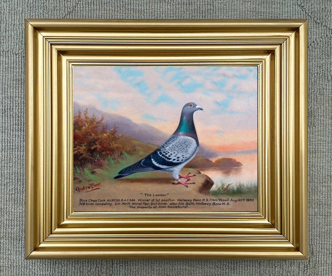 Fine Lithograph on Canvas of the Leader A Racing Pigeon - Etsy