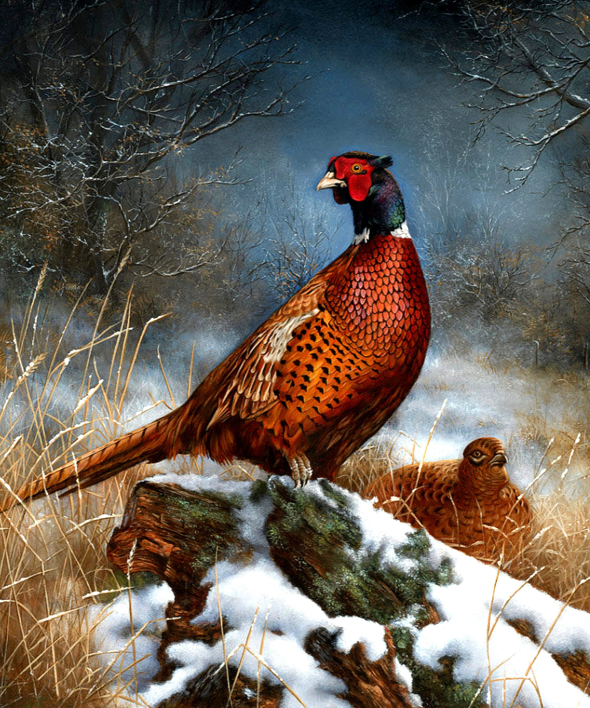 Fine Lithograph on Canvas of a Pheasant in a Wintry Landscape - Etsy UK