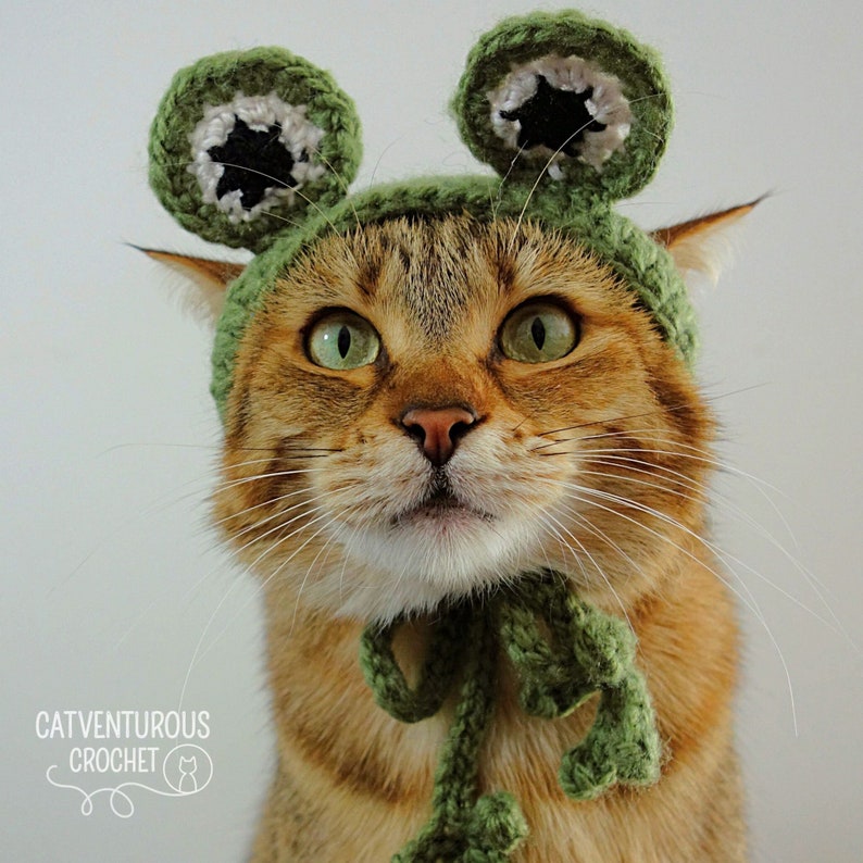 Figaro Frog Cat Hat Crochet Pattern Digital Download - Etsy