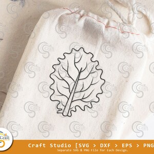 Lettuce Svg Silhouette Outline Cricut Cut Files Png Bundle, - Etsy Canada