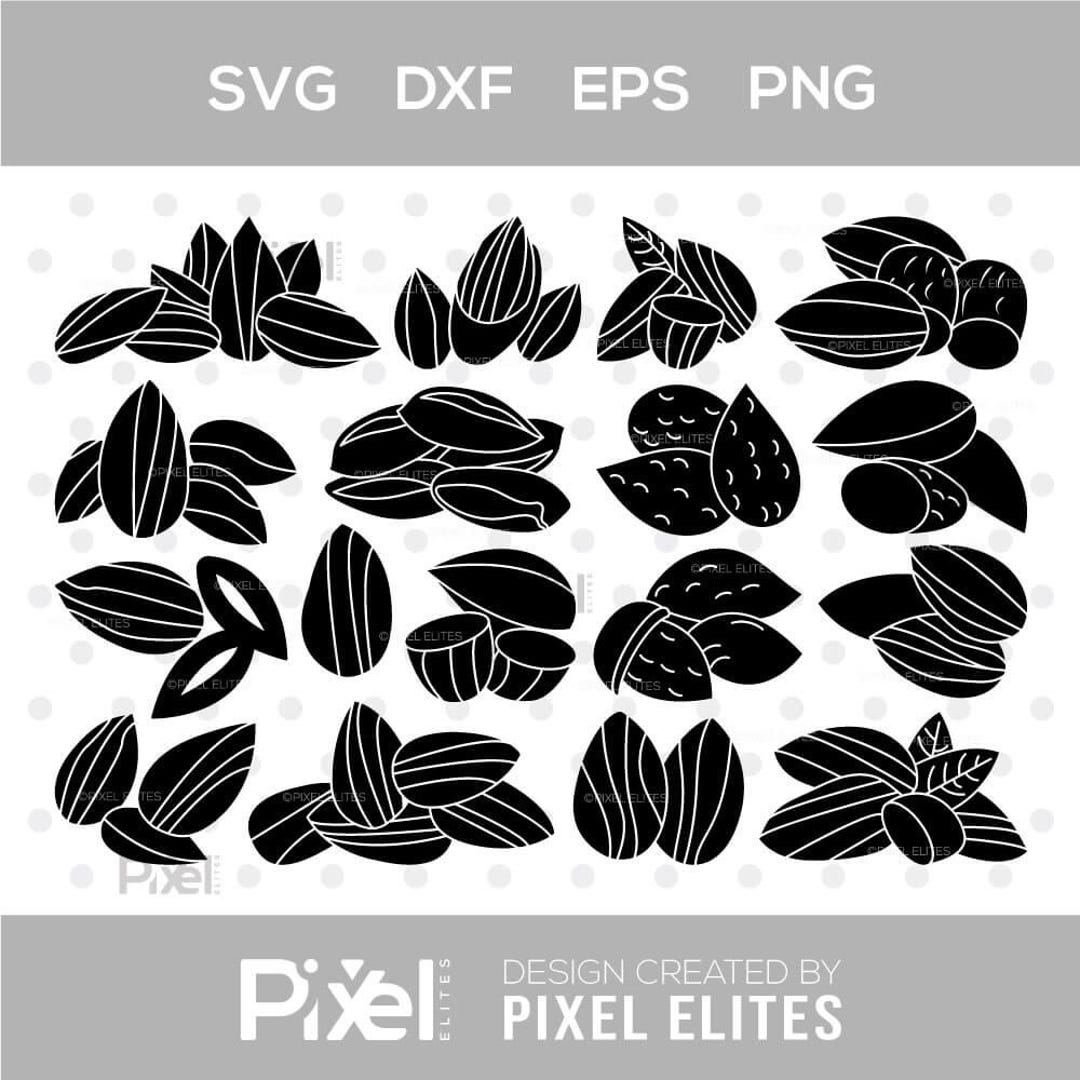 Almond SVG Bundle, Nut Silhouette Clipart, Healthy Food SVG, Wood Nuts ...